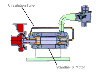 X Motor